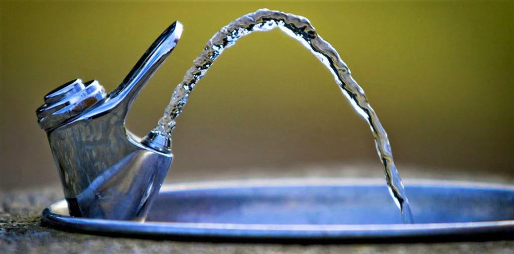 Halsey Taylor Fountains